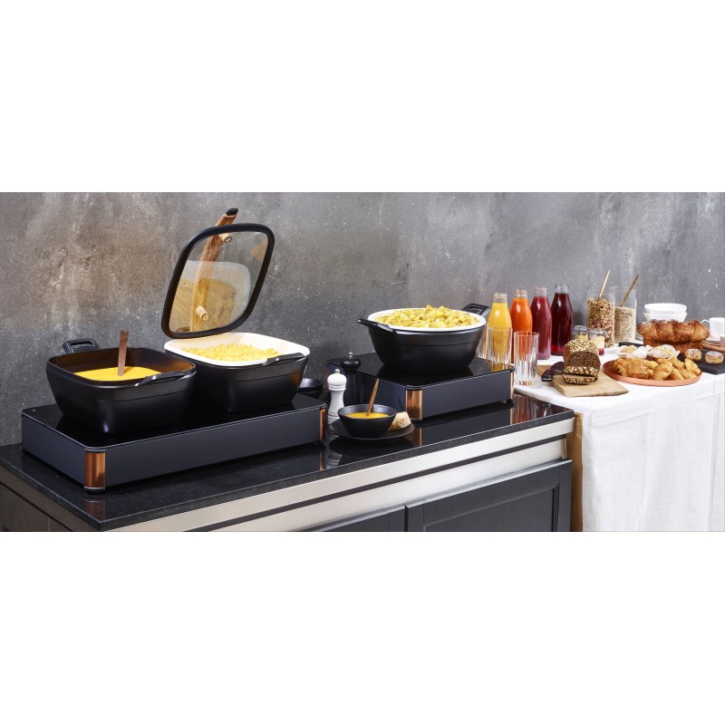 Induc Elegance IE2